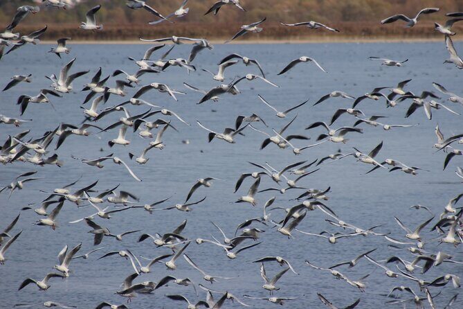 Private Birding Tour in Albania - FAQ