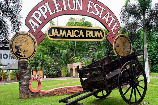 Private Black River and Appleton Rum Tour From Negril - Logistics and Practicalities