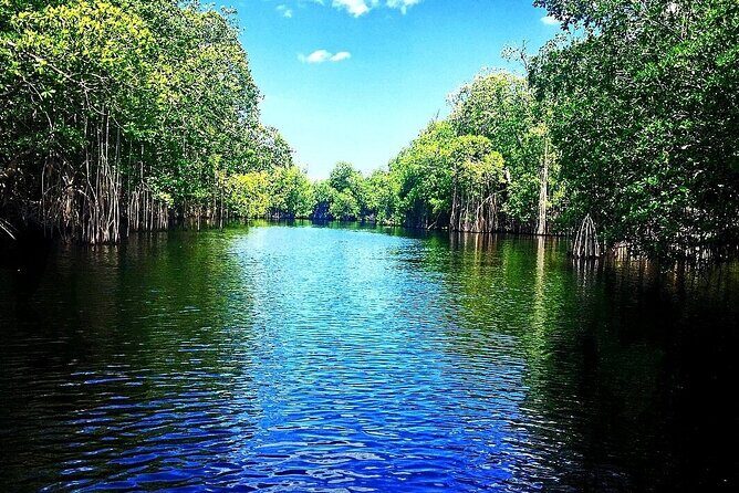 Private Black River and Appleton Rum Tour From Negril - What to Expect and How to Prepare