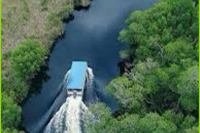 Private Black River Safari Guided Tour & YS Falls Tour - Exploring Black River: A Wildlife Encounter