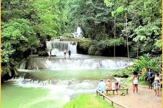 Private Black River Safari Guided Tour & YS Falls Tour - Final Thoughts
