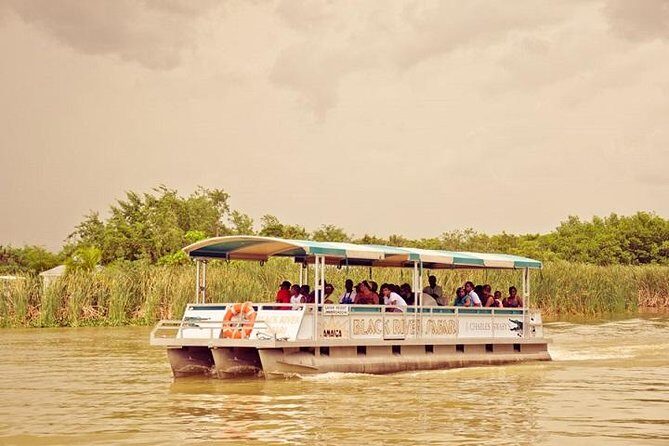 Private Black River Safari Tour from Montego Bay - An In-Depth Look at the Black River Safari Tour
