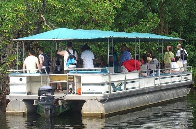 Private Black River Safari Tour from Montego Bay - Frequently Asked Questions (FAQs)