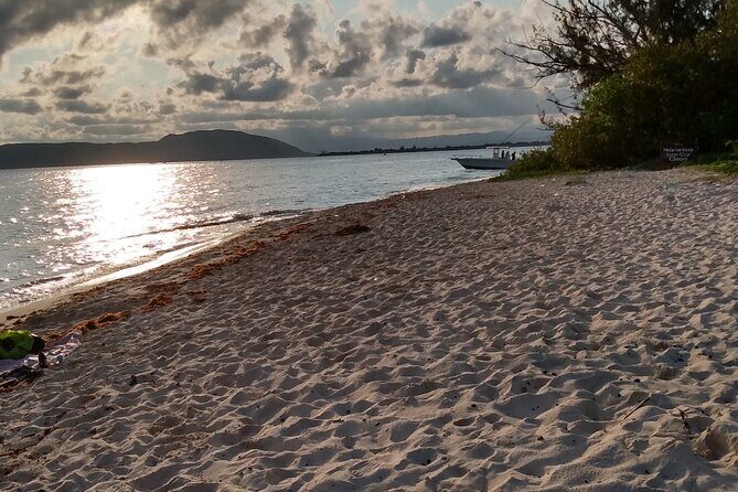 Private Blue Hole and Dunns River Day Trip from Kingston - Starting Point: Pickup and Scenic Drive