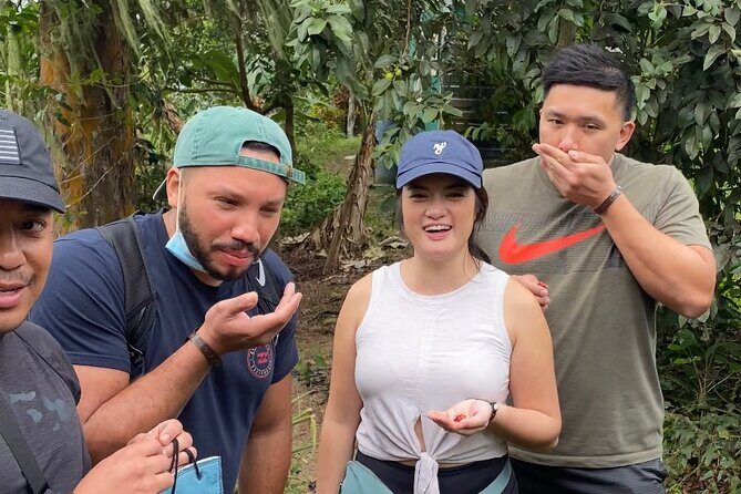 Private Blue Mountain tour from Ocho Rios - Wrapping It Up: Who Should Consider This Tour?