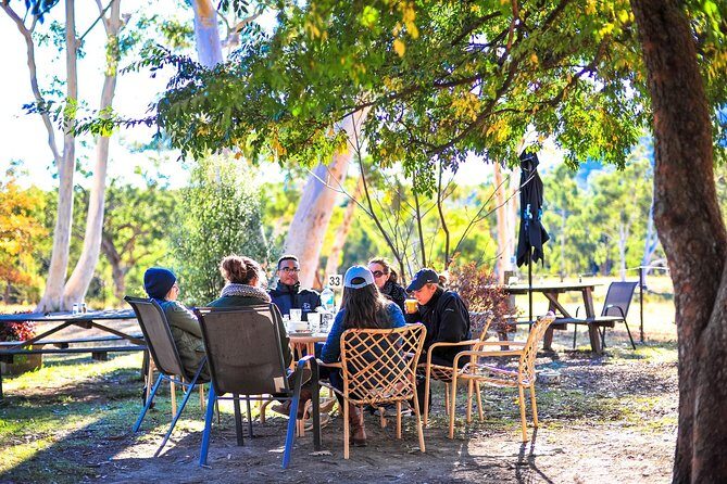 Private Blue Mountains and Winery Day-Trip from Sydney - The Sum Up