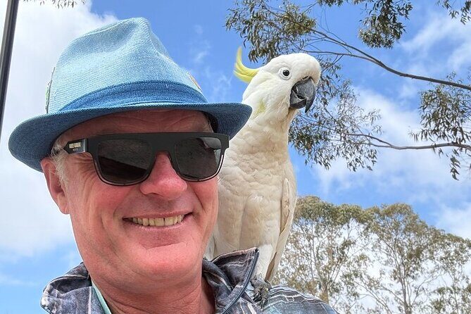 Private Blue Mountains Day Tour  Flexible and Customised - Scenic Return and Reflection