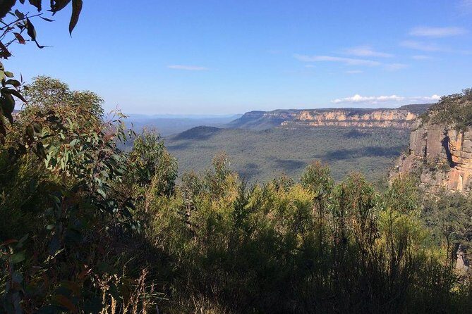 PRIVATE Blue Mountains Day Tour from Sydney with Wildlife Park and River Cruise - Final Thoughts