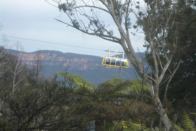 PRIVATE Blue Mountains day tour with local guide. - A Closer Look at the Itinerary