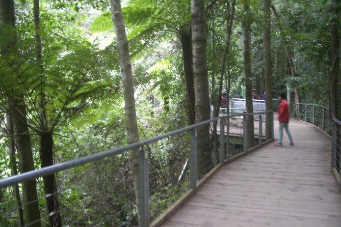 PRIVATE Blue Mountains day tour with local guide. - Authentic Experiences & Practical Details
