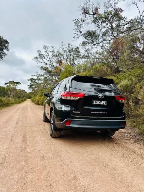 Private Blue Mountains Escape The Crowds Tour - An In-Depth Look at the Private Blue Mountains Escape The Crowds Tour