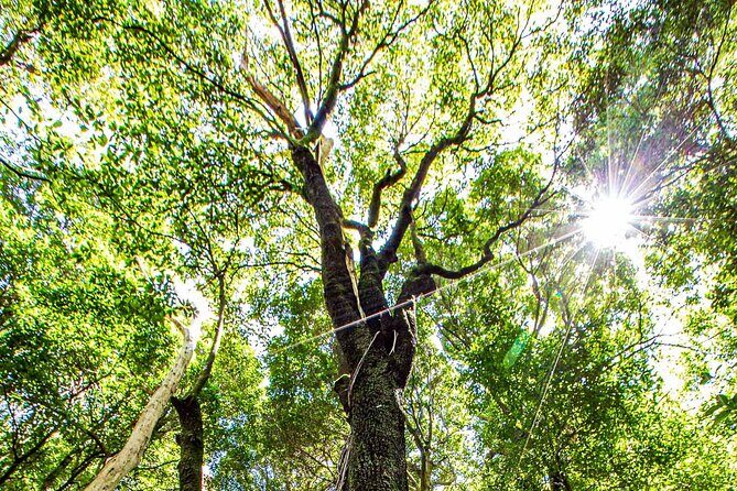 Private Blue Mountains Escape The Crowds Tour - FAQ
