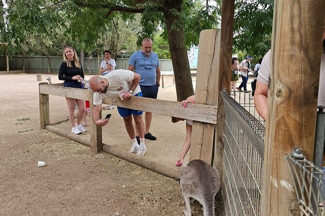 PRIVATE Blue Mountains, Scenic World & Australian Wildlife Tour - Introduction: What’s in Store