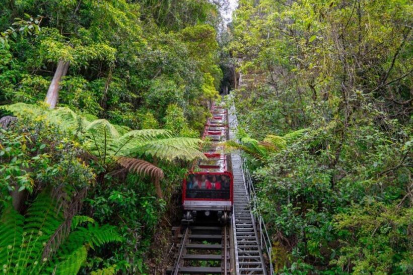Private Blue Mountains, Scenic World & Wentworth Falls Tour - FAQs