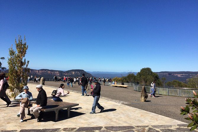 PRIVATE Blue Mountains tour & Koalas, Kangaroos, Cruise plus more - An In-Depth Look at the Tour Itinerary