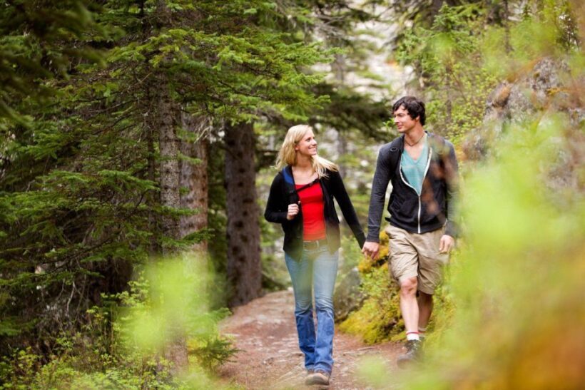 Private Blue Ridge Parkway Waterfalls Hike from Asheville - The Guide and Experience Value