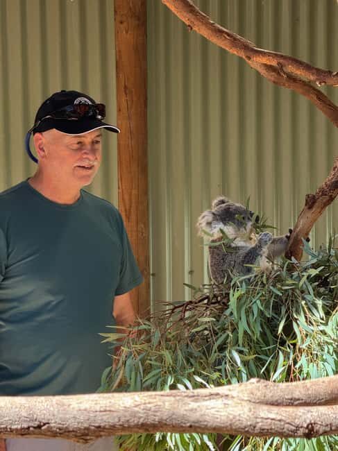 Private BlueMountains, ScenicWorld & AustralianWildlife Tour - Key Points