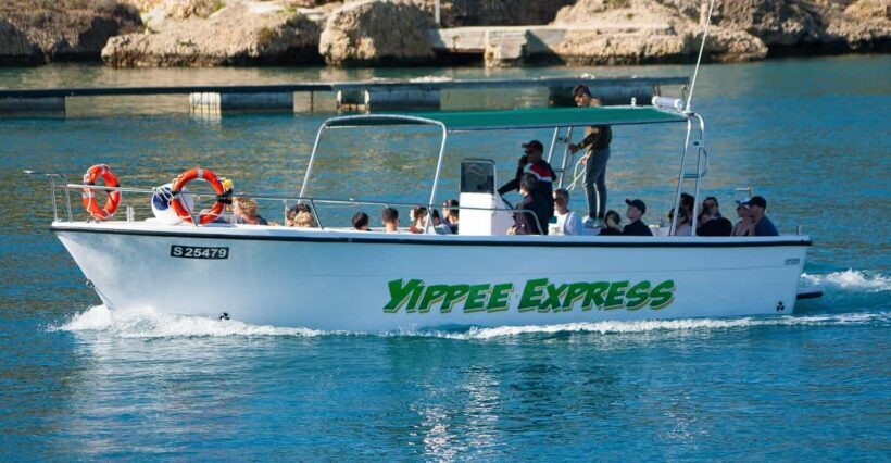 Private Boat Charter - Comino/Parts of Gozo - Who This Tour is Perfect For