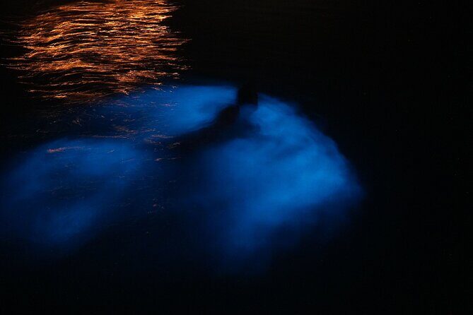 Private Boat Charter Experience in Bio Bay Cayman Island - Key Points