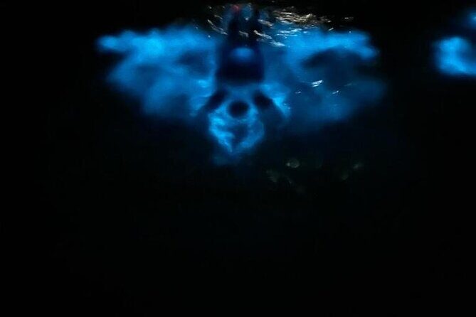 Private Boat Charter Experience in Bio Bay Cayman Island - An In-Depth Look at the Bio Bay Private Boat Tour