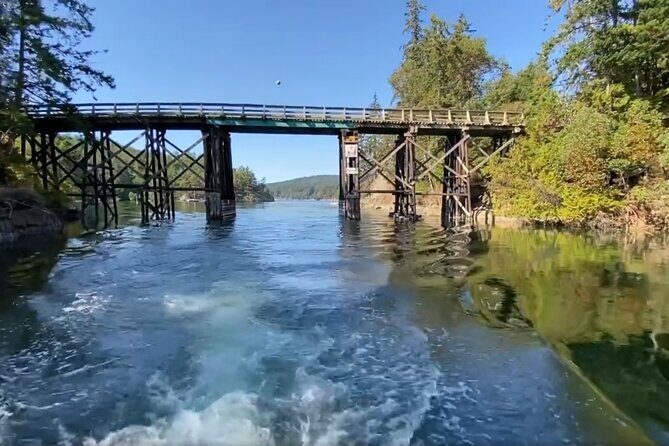 Private Boat Charter Explore Southern Gulf Islands Tour - Frequently Asked Questions