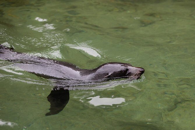 Private boat charter in Abel Tasman National Park - The Experience on Deck