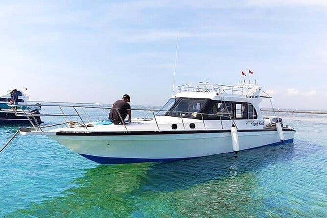 Private Boat Charter Nusa Penida Day Trip - Why the Reviews Are So Enthusiastic