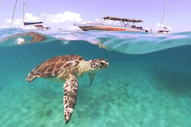 Private Boat Charter Saint Martin & natural reserve - Frequently Asked Questions