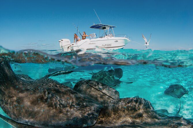 Private Boat Charter Snorkeling Stingray City or Bio Bay - Itinerary Breakdown: What to Expect at Each Stop