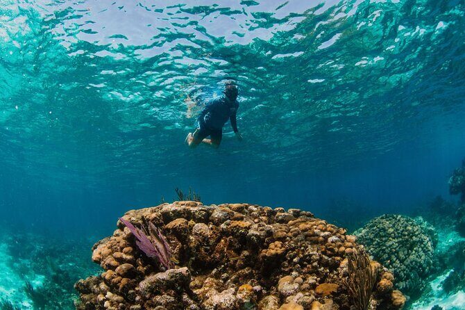 Private Boat Charter Snorkeling Stingray City or Bio Bay - FAQ