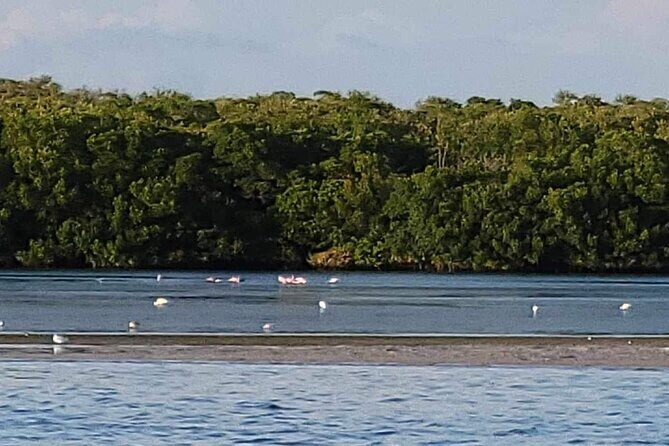 Private Boat Charter to Johns Pass, Shell Key and Egmont Key - Frequently Asked Questions