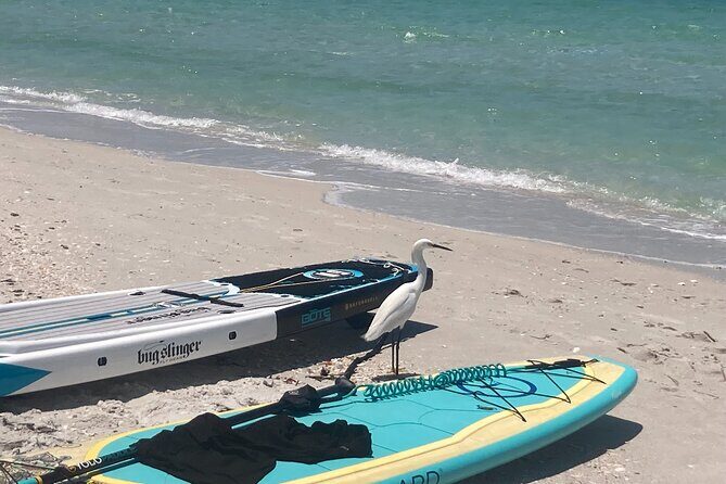 Private Boat Charters in Saint James - Deep Dive into Each Stop