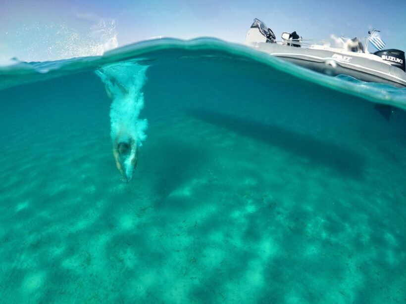 Private boat cruise to South coastline of Mykonos - The Allure of a Private Boat Cruise in Mykonos