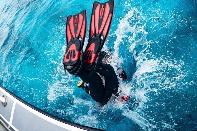 private Boat Dive charter with local guide and all Equipment - The Sum Up