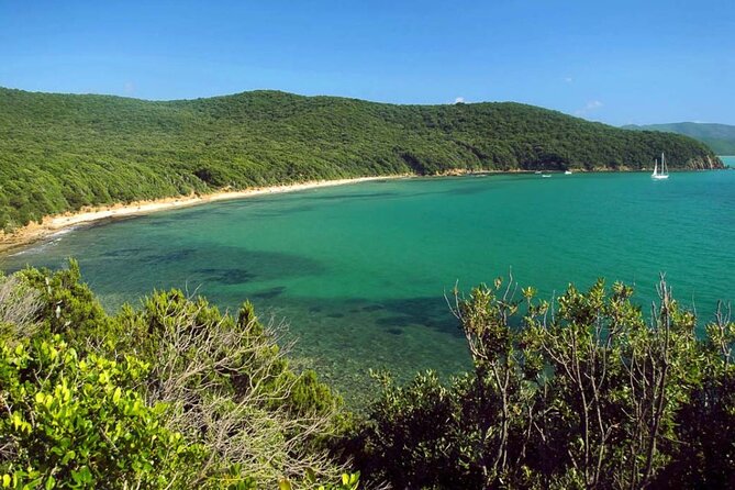 Private Boat Excursion With Lunch or Aperitif to the Calette Di Scarlino - Customer Reviews and Recommendations