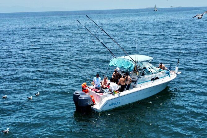 Private Boat Fishing in the Bay of Puerto Vallarta - A Closer Look at the Experience