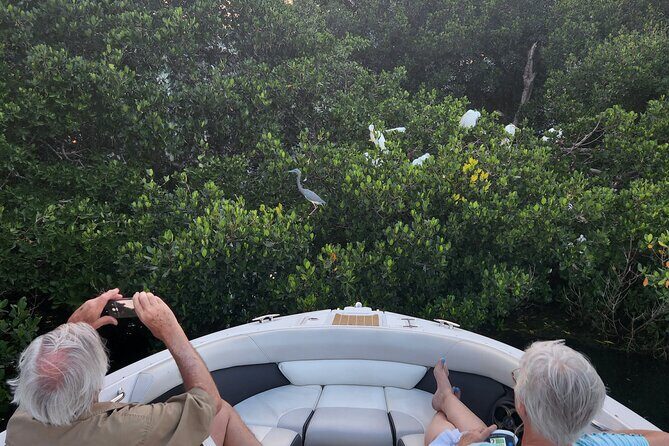 Private Boat: Island Cruise and Dolphins - Analyzing the Value and Suitability