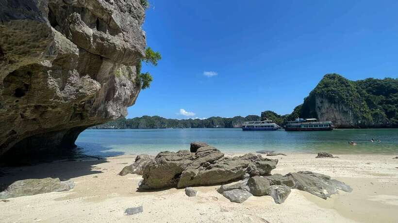 Private boat- Lan Ha Bay Half Day Tour with kayaking - A Thorough Breakdown of What You Can Expect