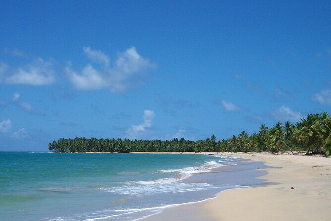 Private Boat Nature Tour of Limón Beach and Lagoon - Exploring the Private Boat Nature Tour of Limón Beach and Lagoon