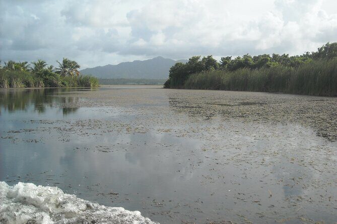 Private Boat Nature Tour of Limón Beach and Lagoon - Who Will Love This Tour?