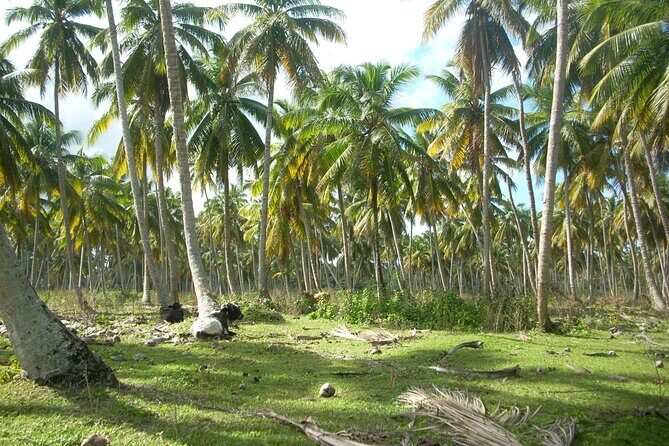 Private Boat Nature Tour of Limón Beach and Lagoon - FAQ