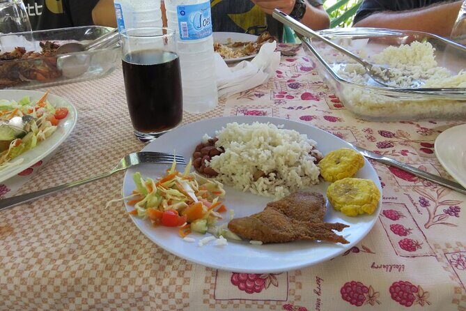 Private Boat Nature Tour of Los Haitises National Park - The Itinerary in Detail: What to Expect