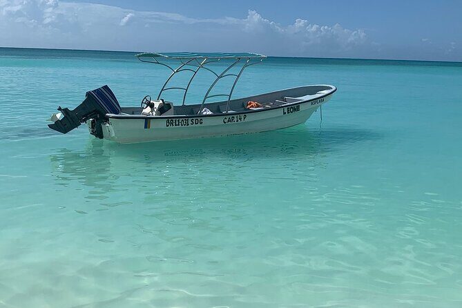 Private Boat Nature Tour of Saona Island - Key Points