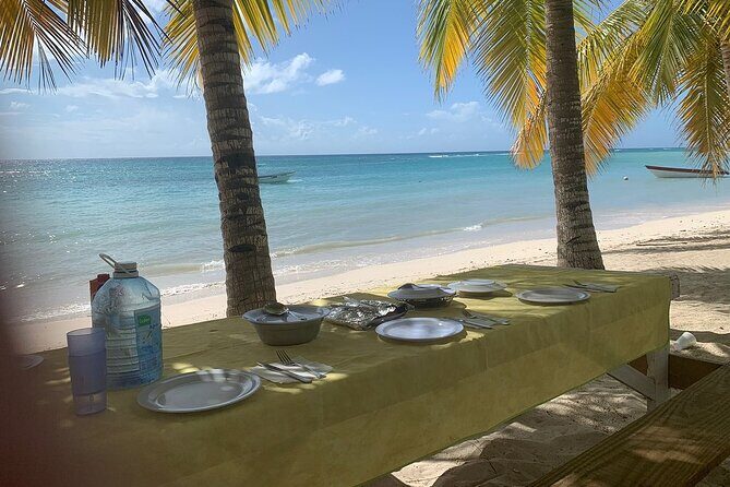 Private Boat Nature Tour of Saona Island - Exploring Saona Island in Style and Comfort