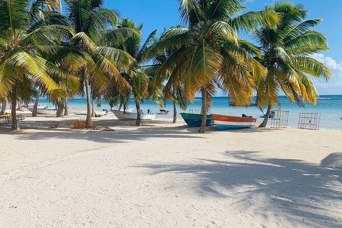 Private Boat Nature Tour of Saona Island - Who Should Consider This Tour?