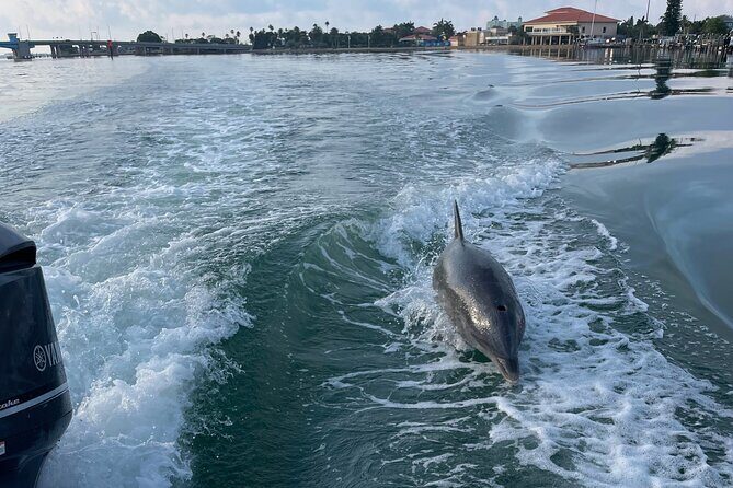 Private boat offering dolphin watching, island excursions and nature tours - The Itinerary in Detail