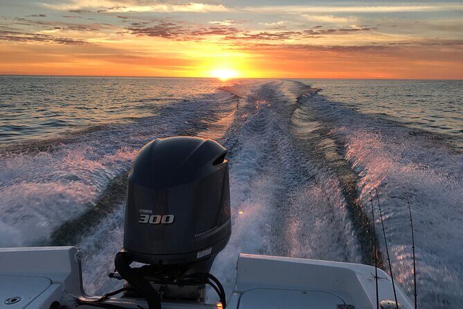 Private boat offering dolphin watching, island excursions and nature tours - Value and Pricing Analysis