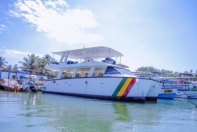 Private Boat Rental in the Mirissa Sea, Sri Lanka - Key Points