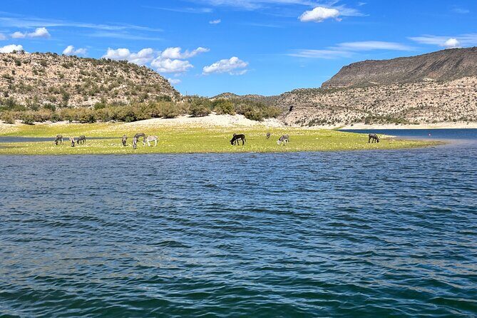 Private Boat Rental w/Captain in Lake Pleasant Arizona - An Introduction to the Lake Pleasant Private Boat Tour
