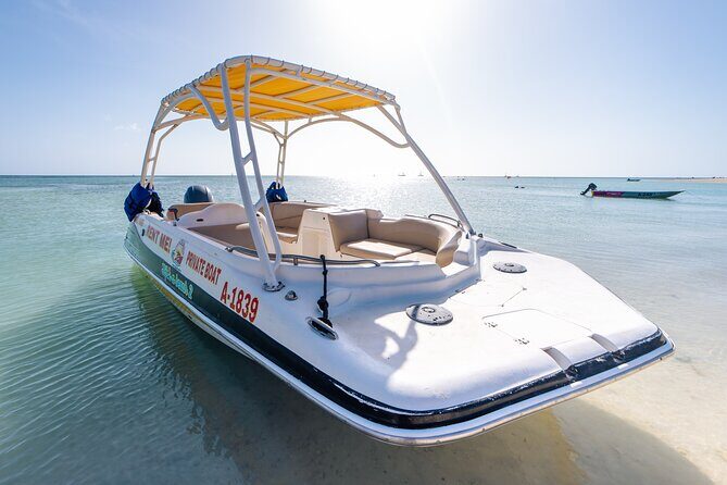 Private Boat & Snorkeling Adventure on Arubas Crystal Coast - Who Will Love This Experience?